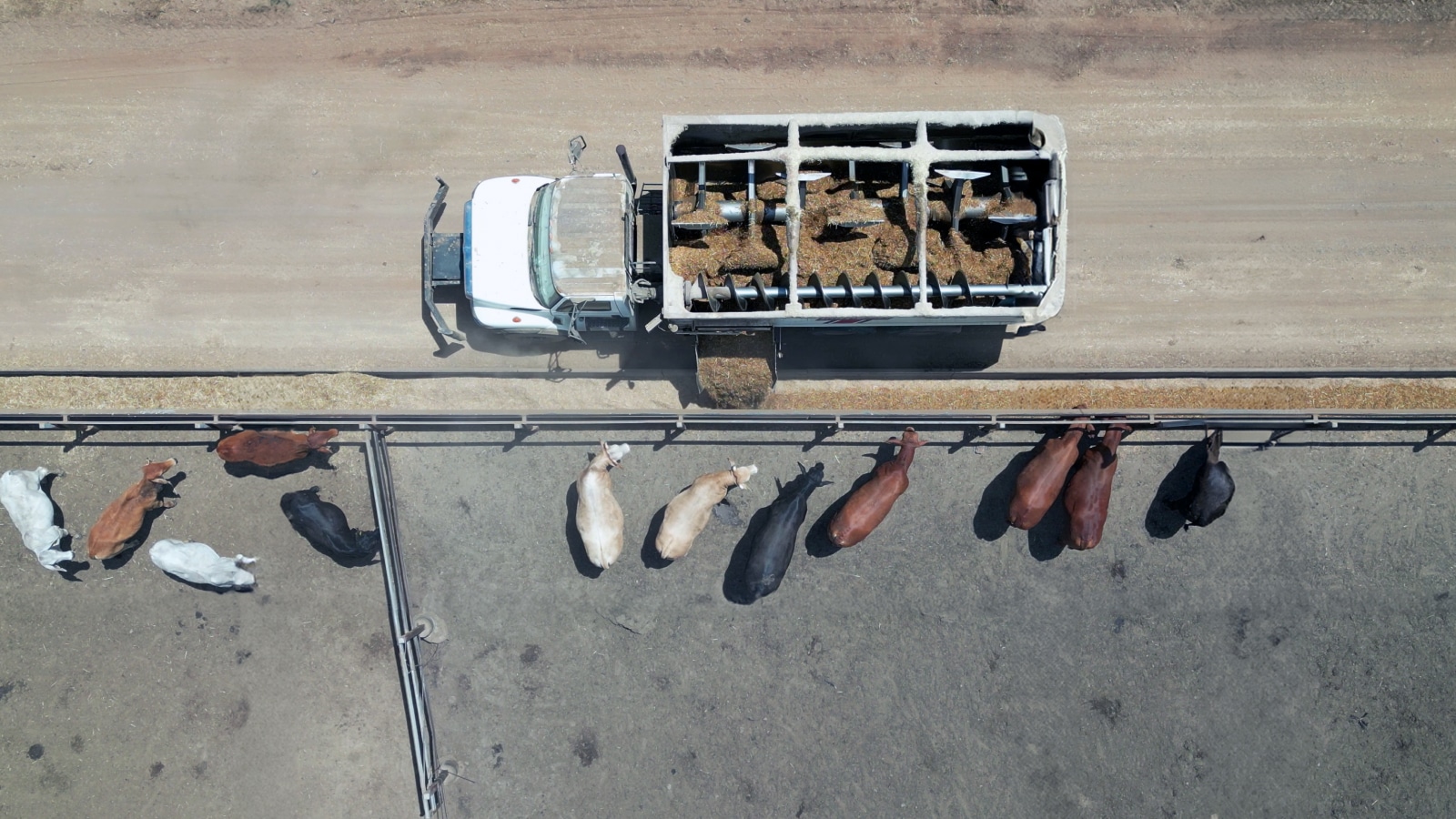 How to Bulk Update Rations - Livestock Junction