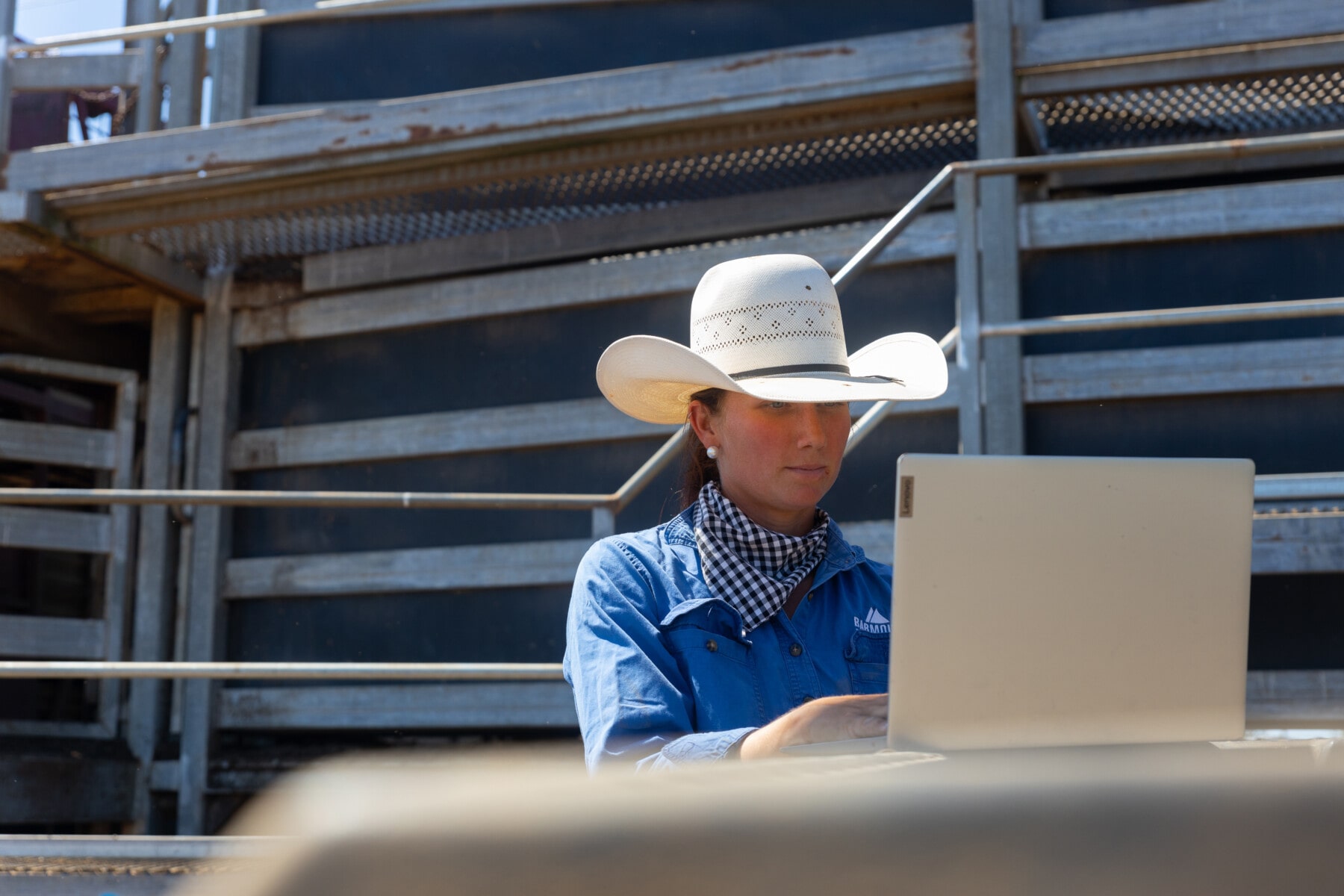 How to open Animal Record from Batch Update Screen - Livestock Junction