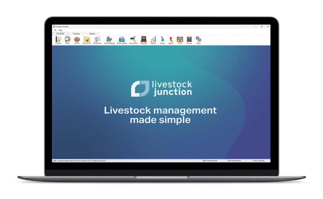 A New Look Livestock Junction - Livestock Junction