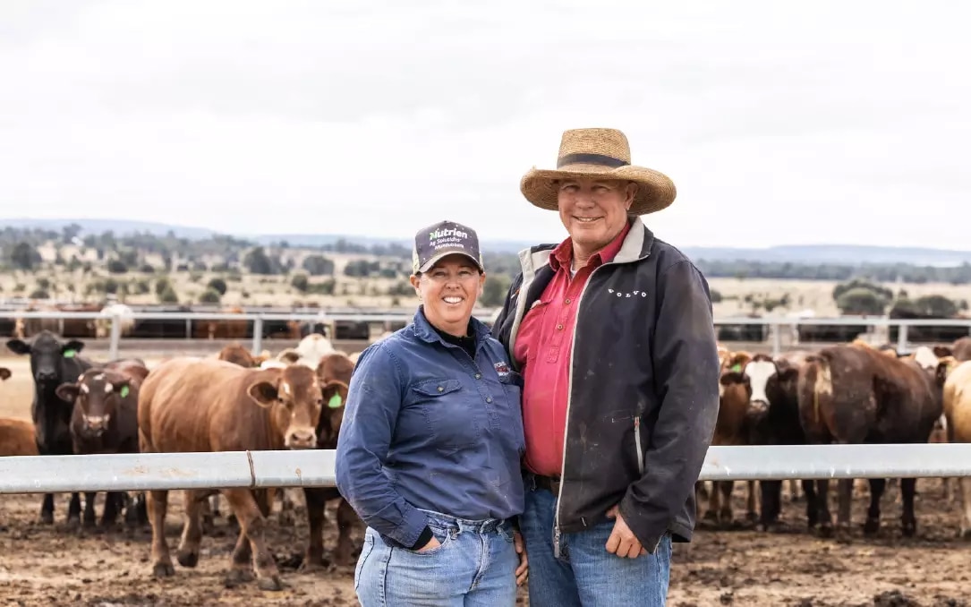 Customer Success Story - Melbrig Feedlot - Livestock Junction